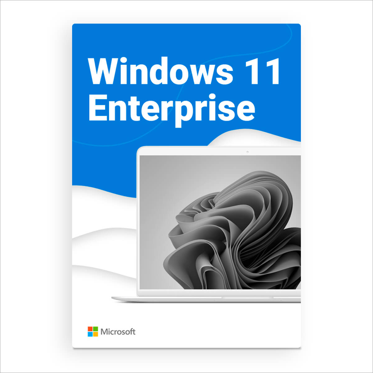 Microsoft Windows 11 Enterprise - Royal Tech